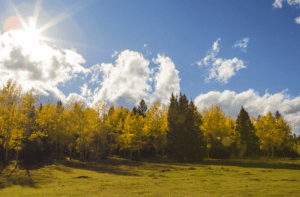 Fall in Taos, NM - Experience beautiful fall colors in the Southwest
