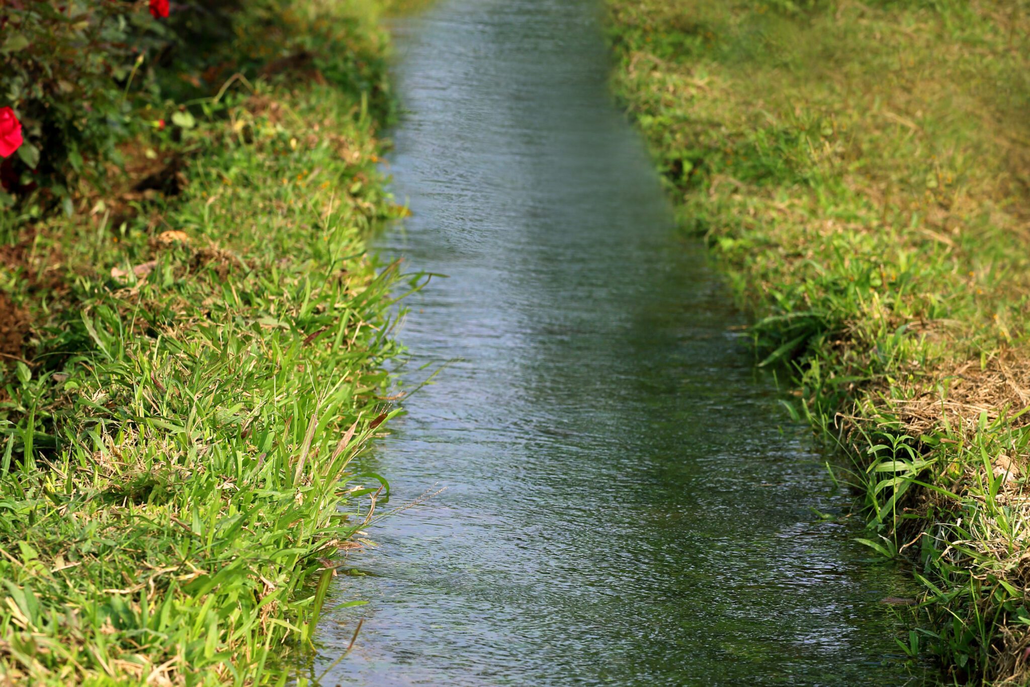 Acequia Aqui - Taos, NM