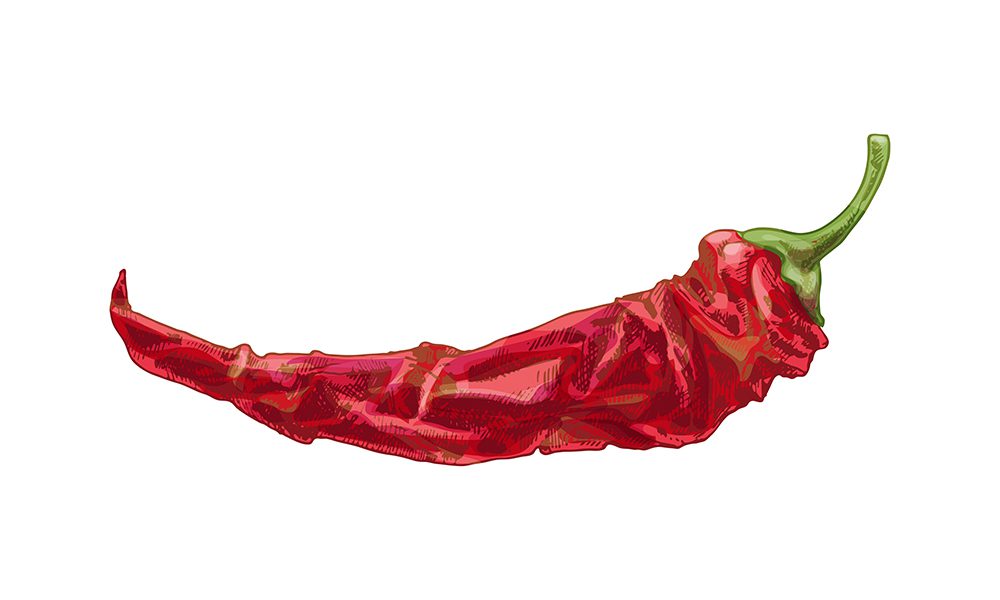 The Five Best Chile Hotspots in Taos - Taos, NM